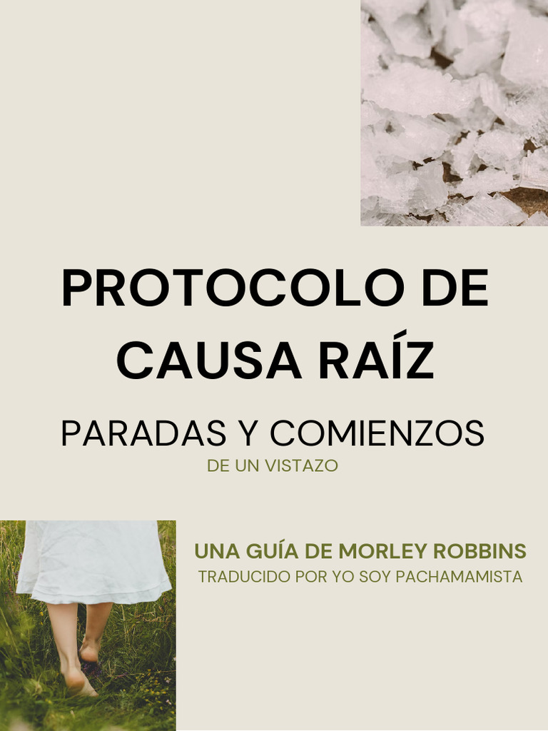 56e503a-2870-C485-E78-C7c23a812fa PROTOCOLO DE CAUSA RAI Z YSP | PDF | Alimentos | Vitamina