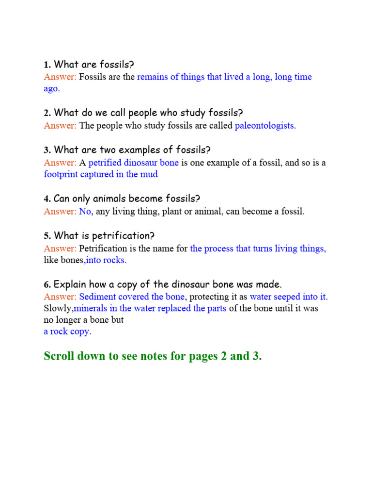 Science Court Fossil Note Sheets | PDF | Fossil | Rock (Geology)