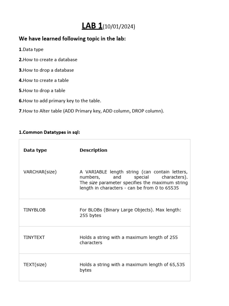 database-labreport | Download Free PDF | Boolean Data Type | Integer (Computer Science)