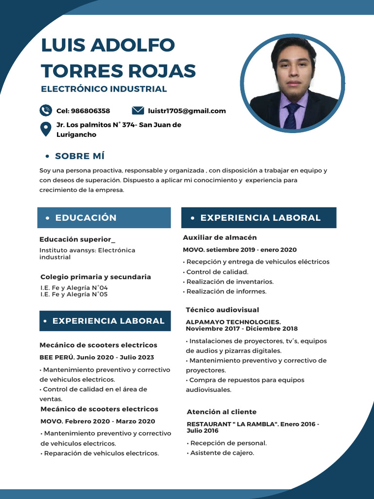 CV - Luis Adolfo Torres Rojas | PDF