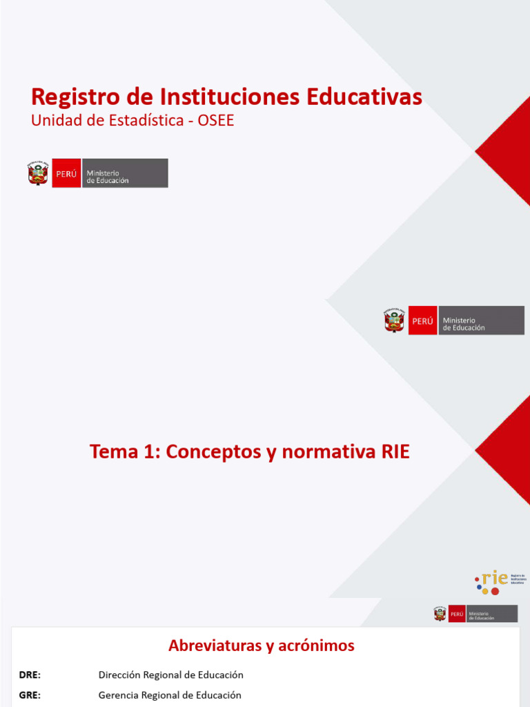Anexo-02-Conceptos y Normativa Rie | PDF | Educación Secundaria | Juventud