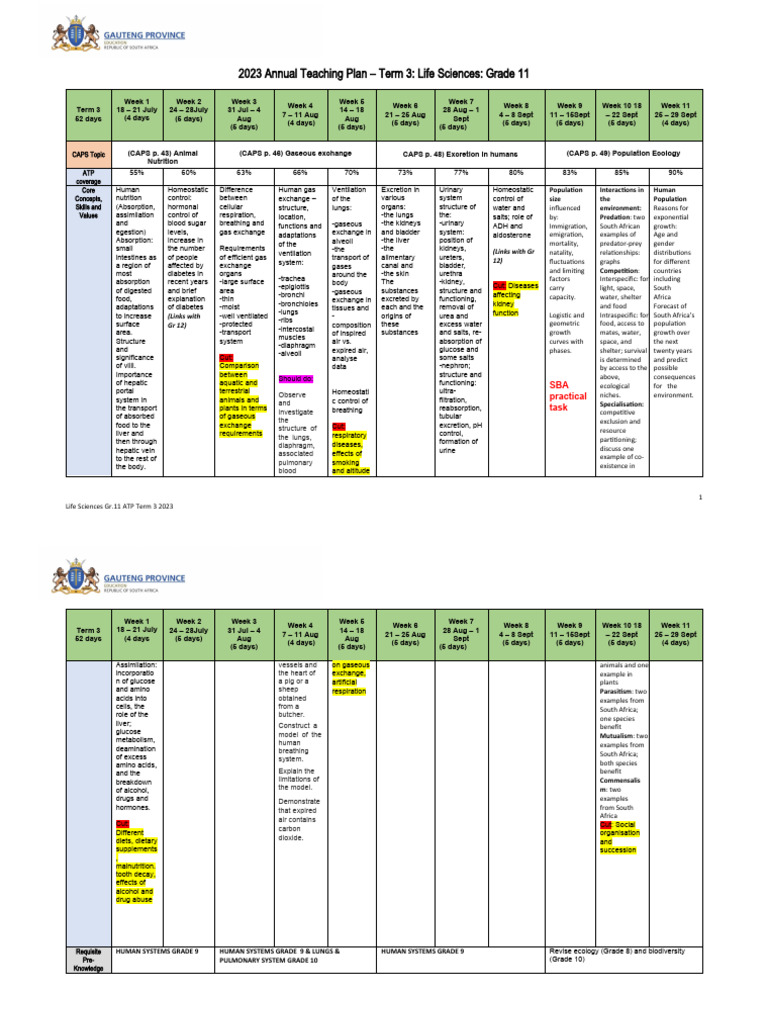 Grade 11 Life Sciences Term 3 Plan | PDF | Breathing | Kidney