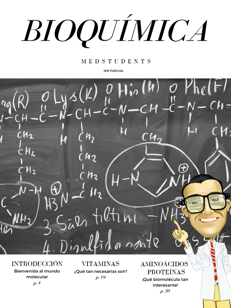 Bioq | PDF | Aminoácidos | Metabolismo