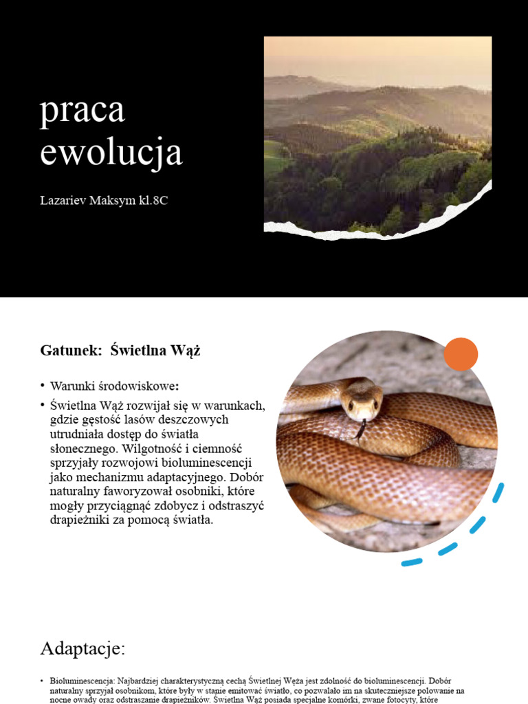 Ewolucja | PDF
