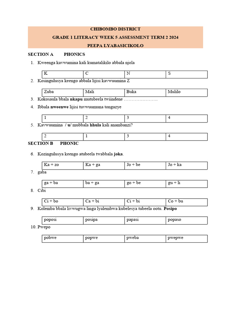 Chibombo Grade 1 Literacy Assessment | PDF
