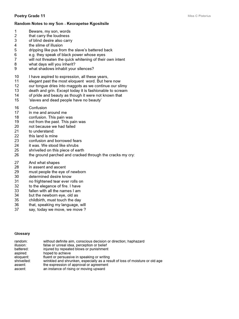 Random notes to my son C Pistorius | PDF