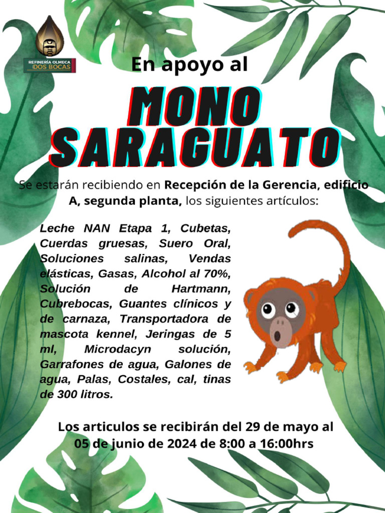 Mono Saraguato PDF | PDF