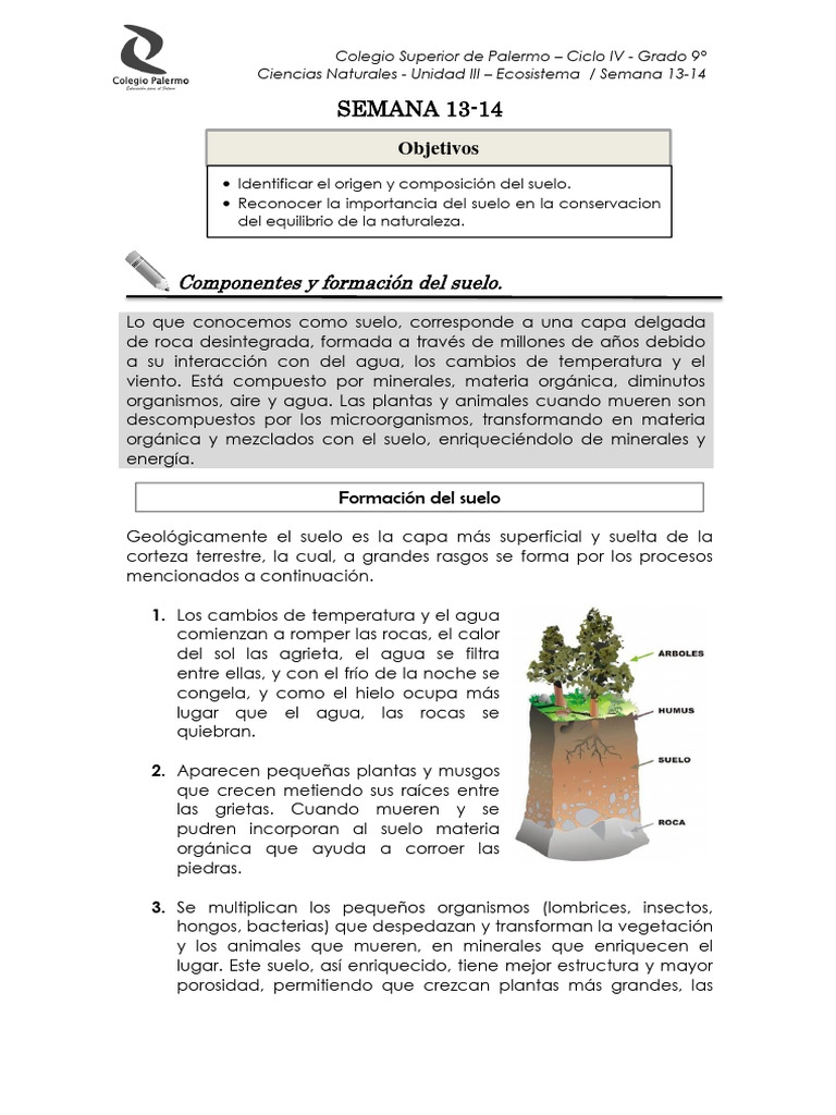Colegio Palermo - Grado 9° - Semana 13 - 14 | PDF | Suelo | Teatro