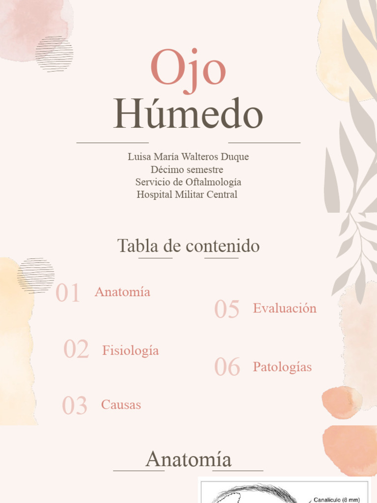 Ojo Húmedo para Amiguitos | PDF | Oftalmología | Enfermedades y trastornos