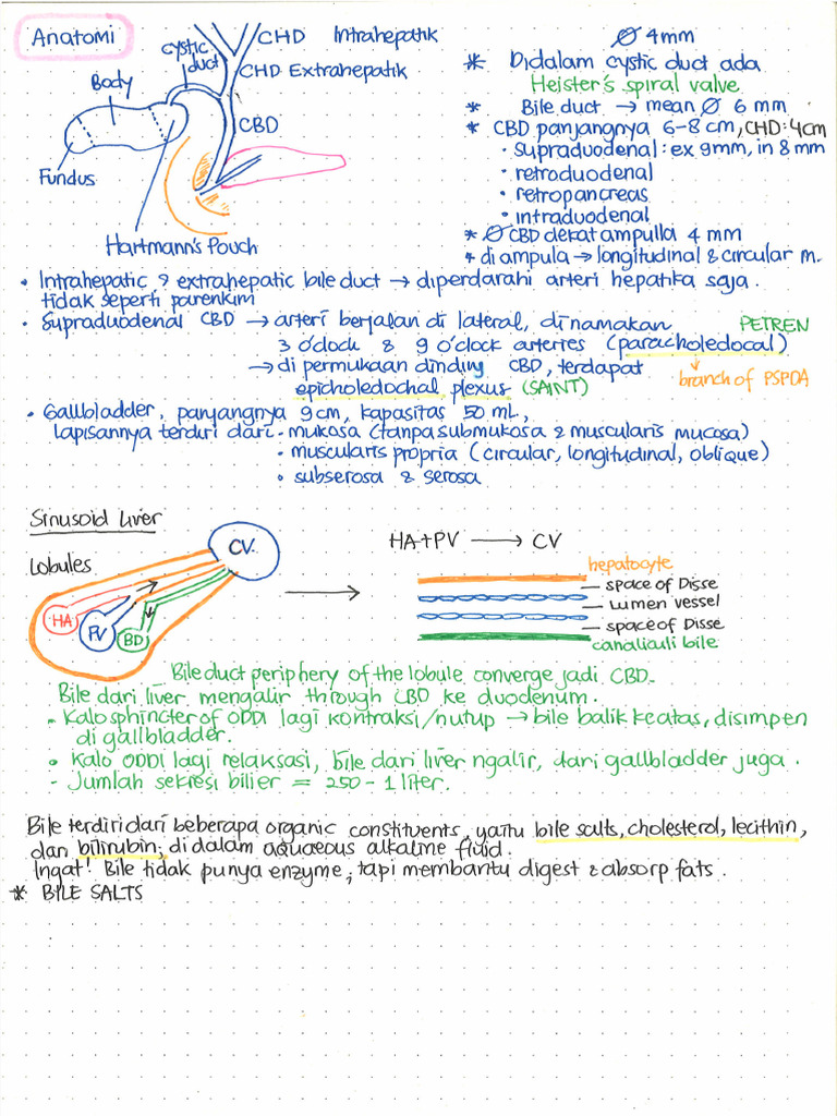 Biliary Tract | PDF