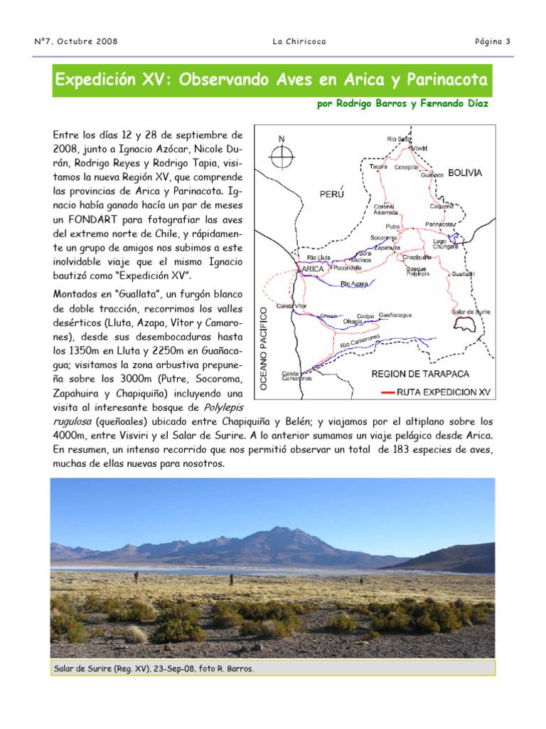 Chiricoca 7 Part 2 | PDF | Ornitología | Aves