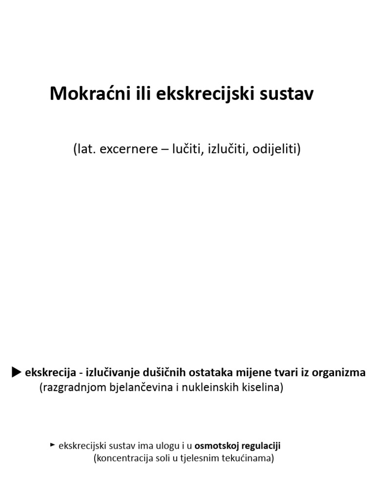 11 Ekskrecijski Sustav | PDF