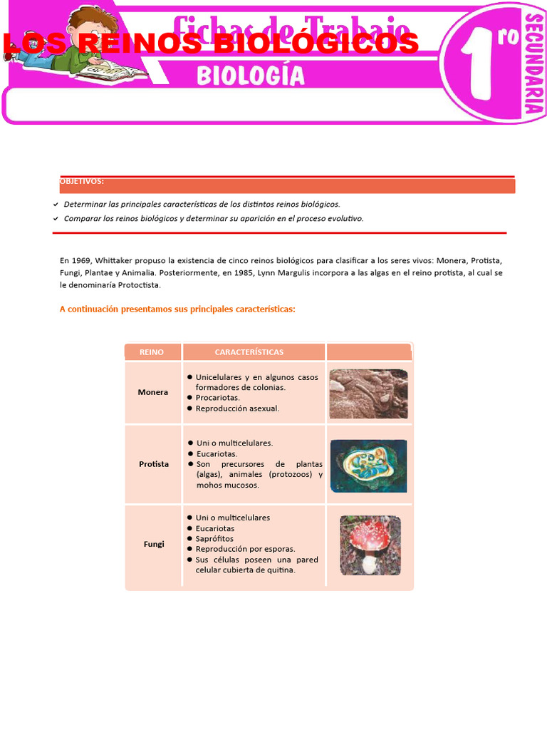 Los Reinos Biologicos para Primer Grado de Secundaria | PDF | Plantas ...