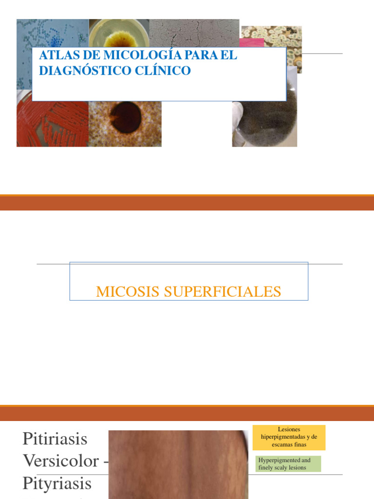 ATLAS-micologia Unipalplona | PDF | Aspergilo | Organismos