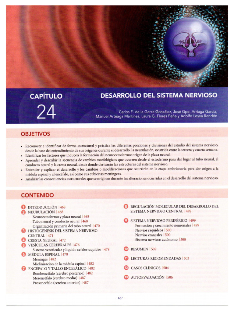 Capítulo 24. SNC | PDF