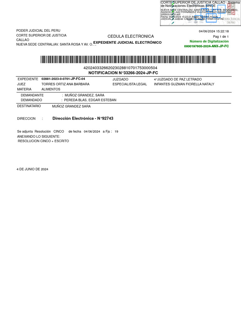 Exp. 02881-2023-0-0701-JP-FC-04 - Consolidado - 33266-2024 | PDF ...