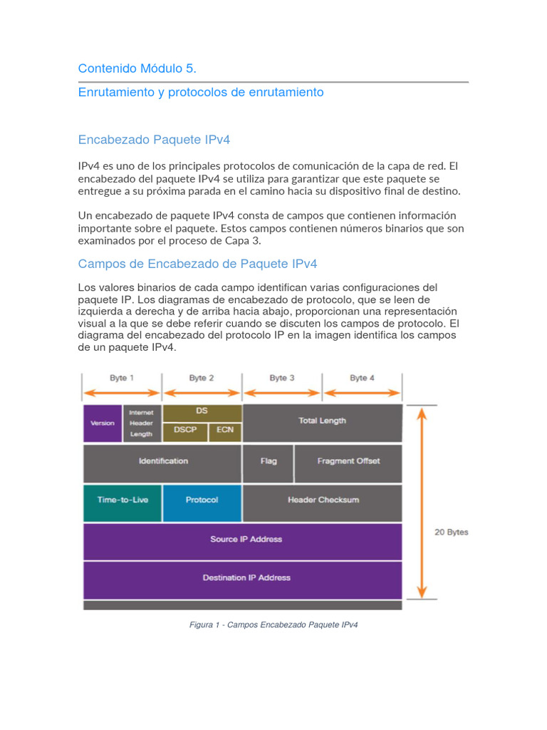 Redes de Datos II - Modulo 5 y 6 | PDF | Enrutador (Computación) | Protocolos de internet