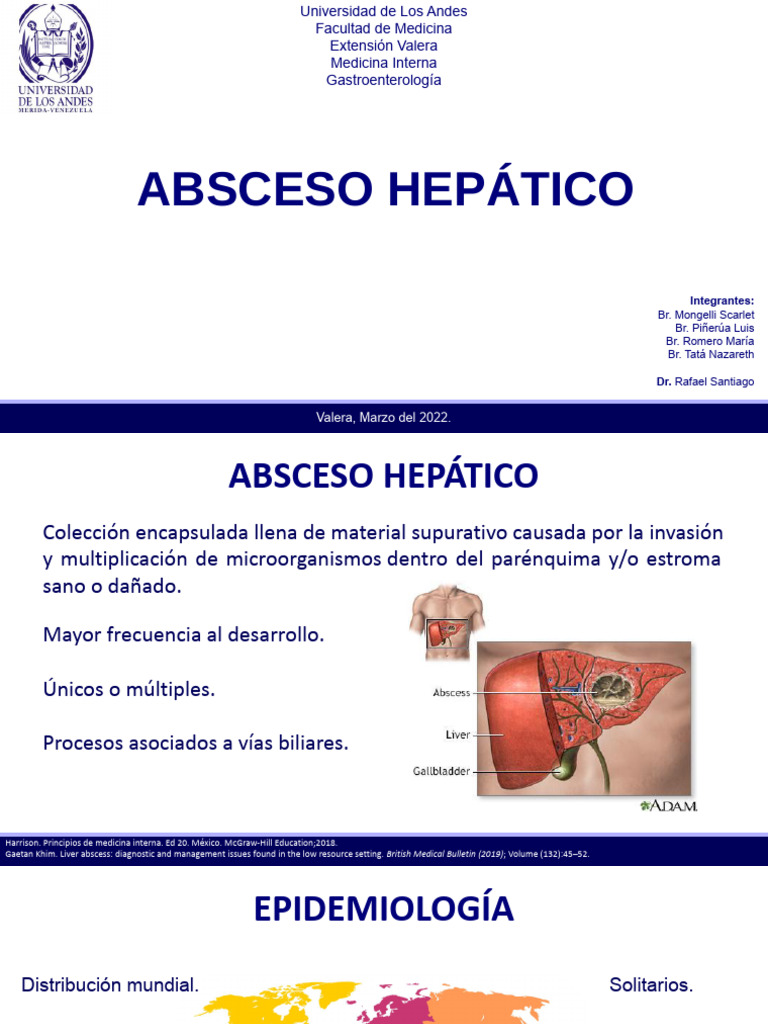 Absceso Hepático: Epidemiología y Tratamiento | PDF | Especialidades ...