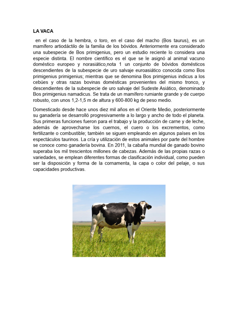 LA VACA | PDF | Vacas | Ricotta