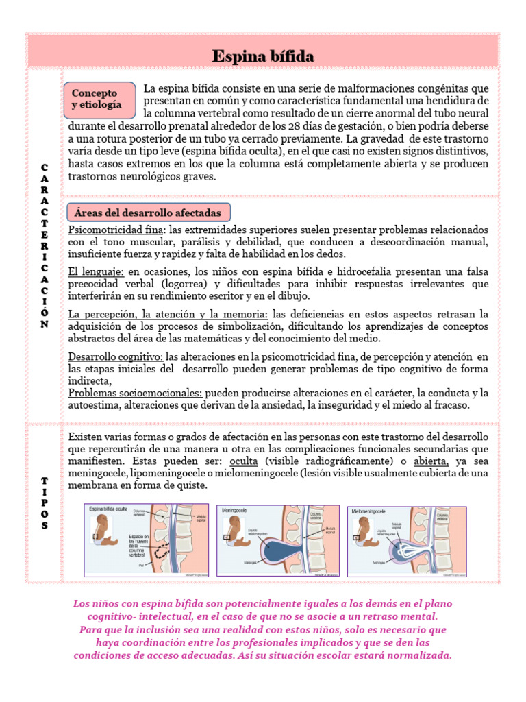 Epina Bífida | PDF | Ciencias del comportamiento | Sicología