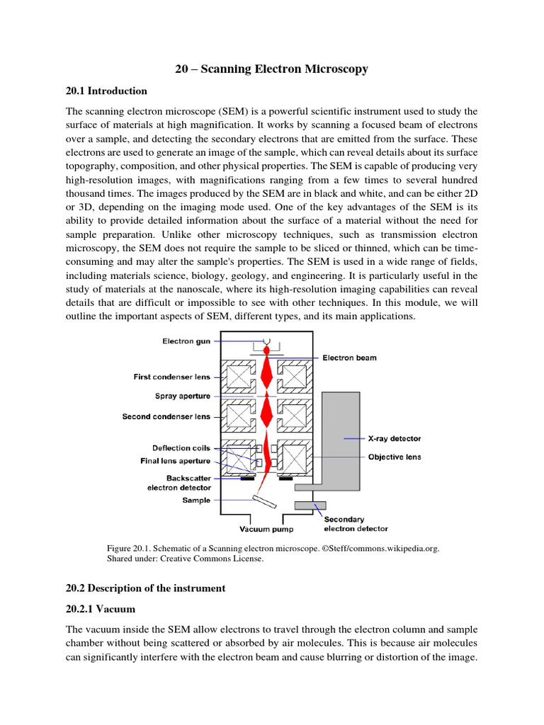 Scanning Electron Microscopy Overview | PDF | Scanning Electron ...