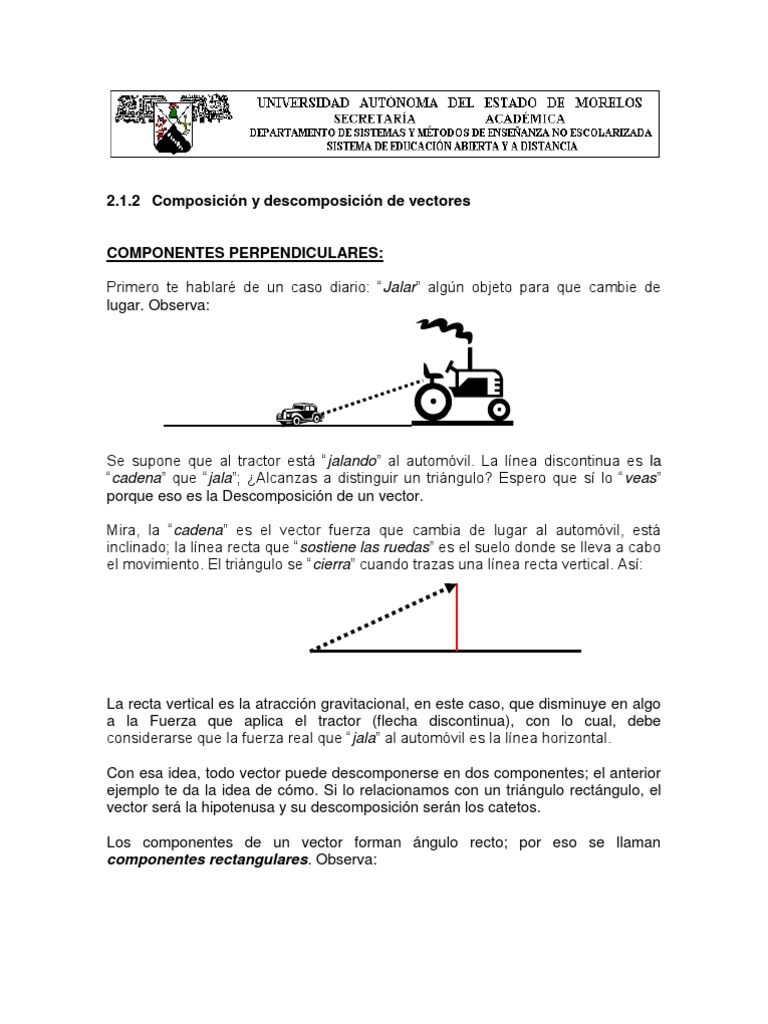 Componentes Rectangulares de Un Vector | PDF | Vector Euclidiano | Fuerza