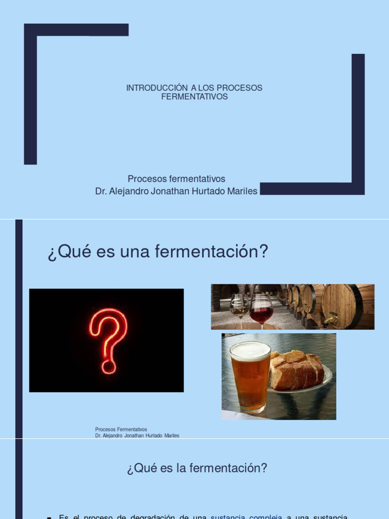 Introduccion A Los Procesos Fermentativos AJHM | PDF | Fermentación | Biología