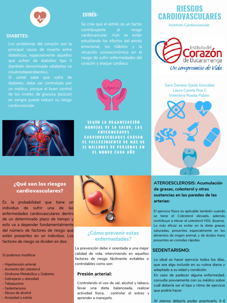 Riesgos Cardiovasculares Folleto | Descargar gratis PDF | Enfermedades ...