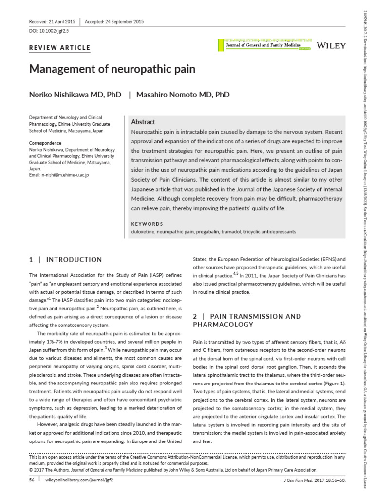 J of Gen and Family Med - 2017 - Nishikawa - Management of Neuropathic ...