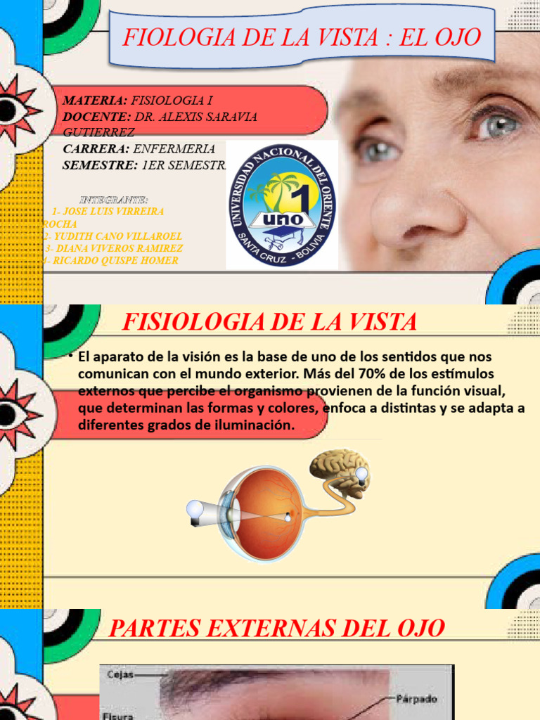 Fisiología del Ojo y la Visión | PDF | Ojo humano | Percepción visual