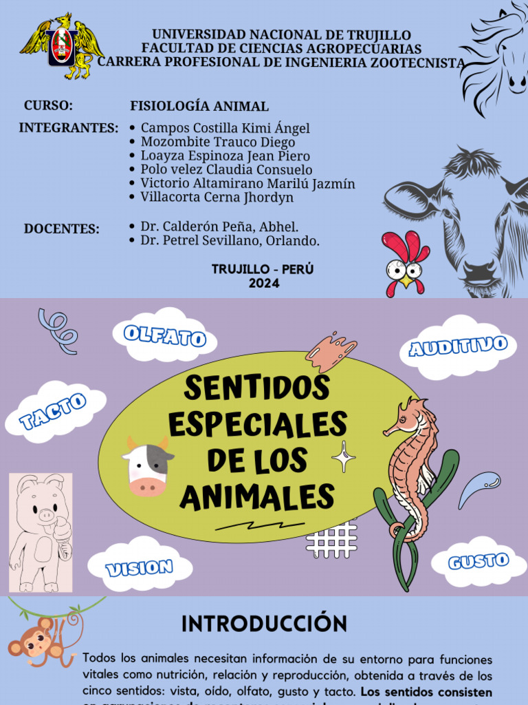 Dinamica de Los Sentidos Especiales de Los Animales | PDF
