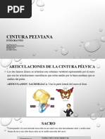 Anatomía y Cultura de las Nalgas | PDF | Nalgas | Anatomía humana