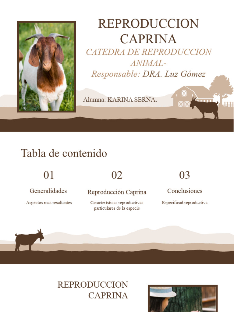 Reproduccion Karina Serna | PDF | Hormona luteinizante | Sistema ...