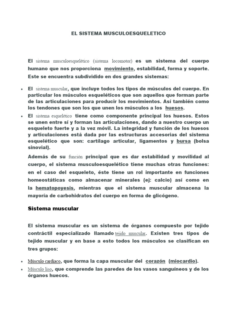 El Sistema Musculoesqueletico Descargar Gratis Pdf Músculo Hueso