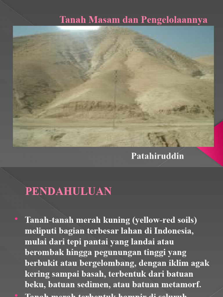 Pengelolaan Tanah Masam di Indonesia | PDF