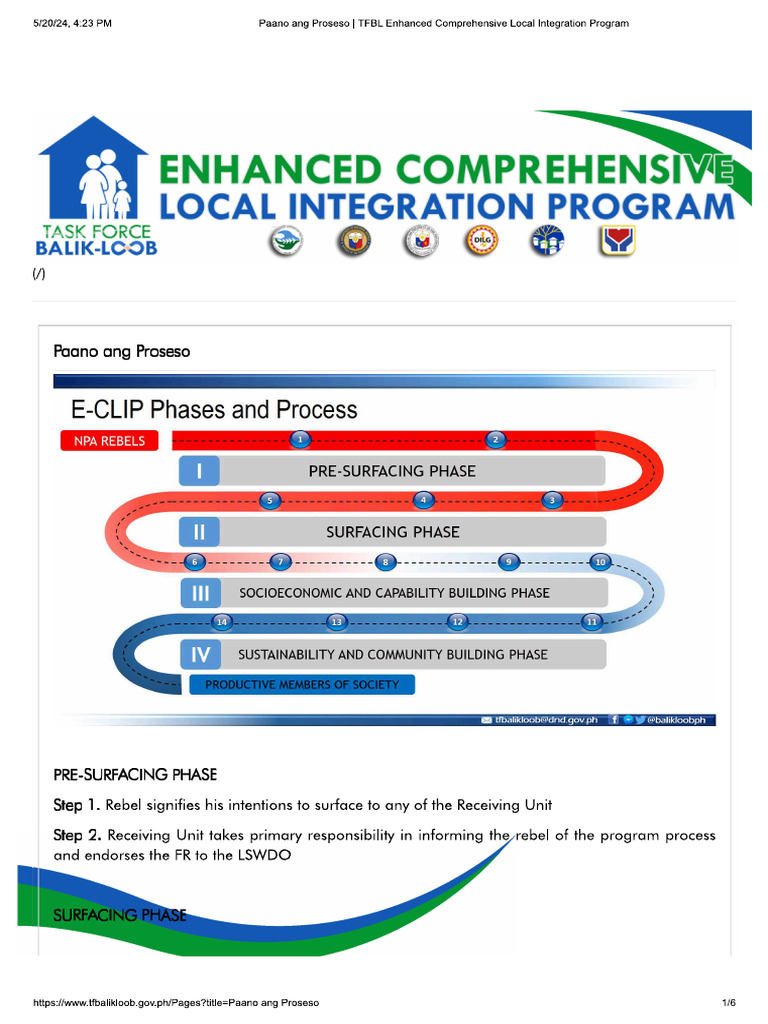 Eclip Process | PDF