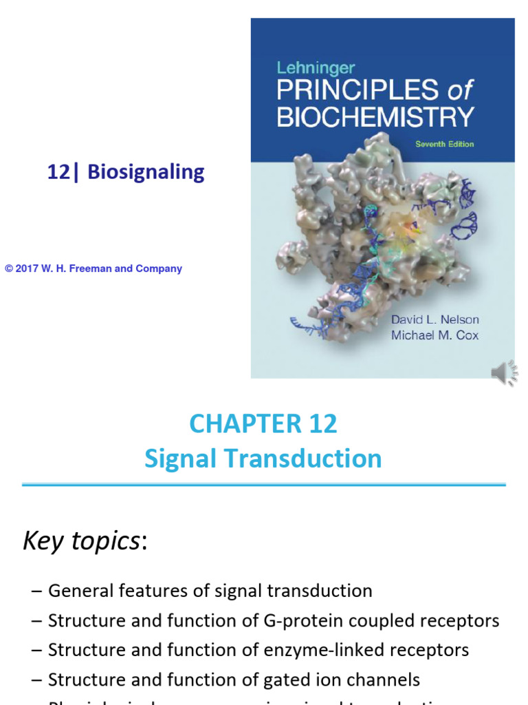 Lehninger - PPT - ch12 All | Download Free PDF | Cell Signaling ...