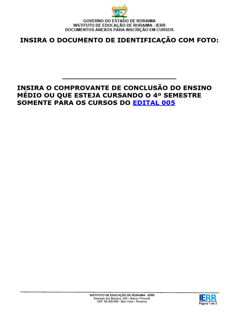 IERR_MODELO_ANEXO_v2 3 | PDF