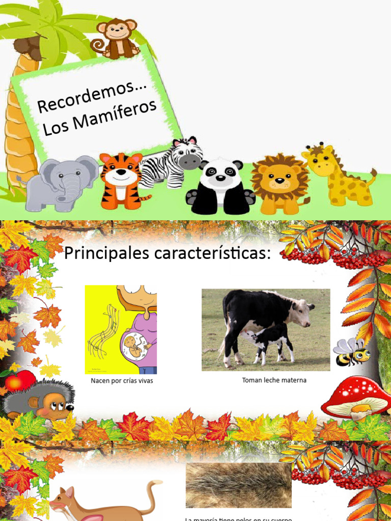 Mamíferos, peces, aves y reptiles (1) | Descargar gratis PDF | Aves ...
