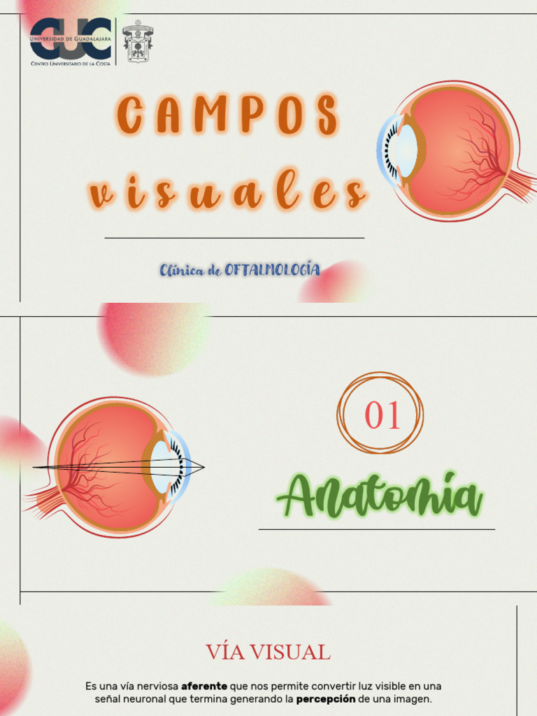 Campos Visuales | Descargar gratis PDF | Percepción visual | Óptica