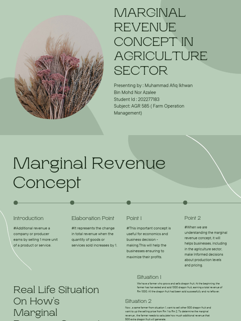 Green Blobs Basic Simple Presentation | PDF | Profit (Economics) | Financial Economics