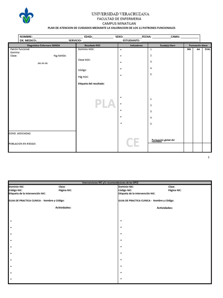 Formato Pae | PDF | Cuidado de la salud | Ciencias de la Salud