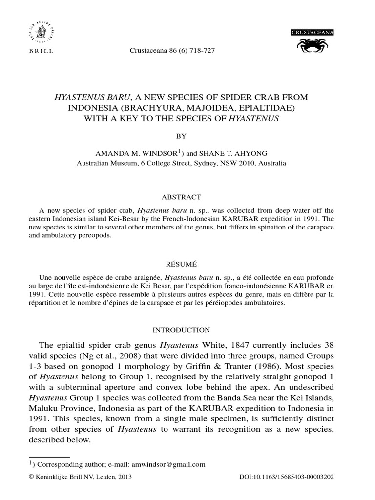 Hyastenus Baru A New Species of Spider C | PDF | Anatomical Terms Of ...