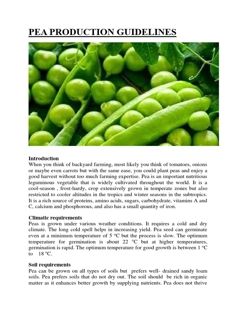 Pea Production (1) | PDF | Pea | Sowing