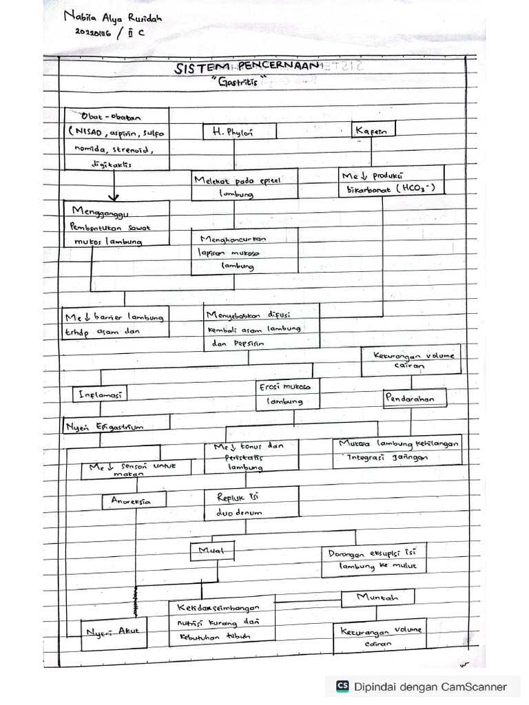 Nabila Alya Rusidah - 202201116 - 2C - Pathway | PDF