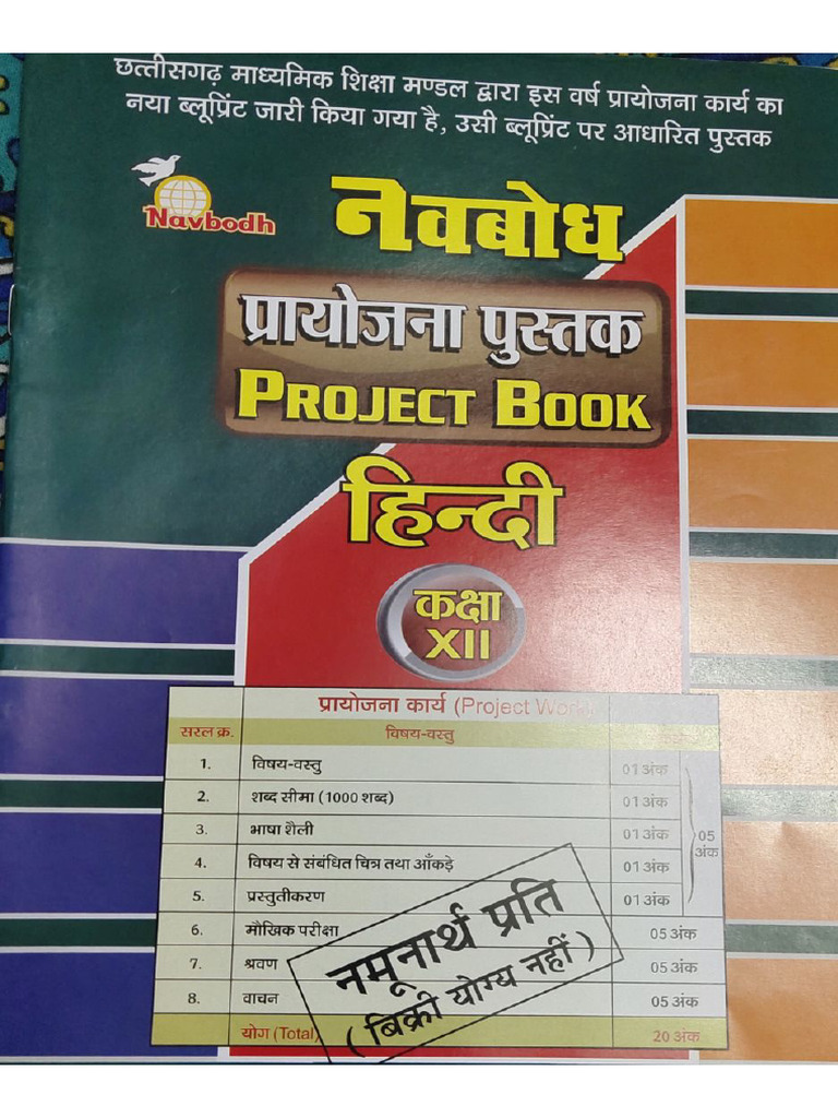 Hindi Project | PDF