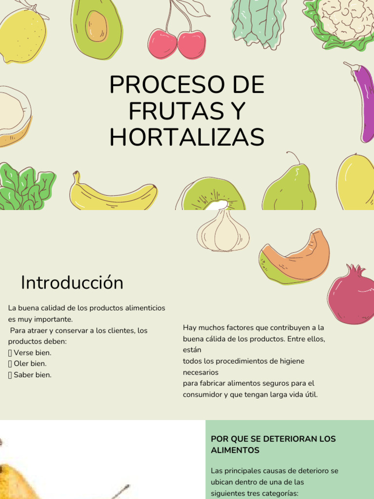 Presentación Comida Vegana Nutrición Ilustrativo Colorido | PDF | Alimentos | Agua