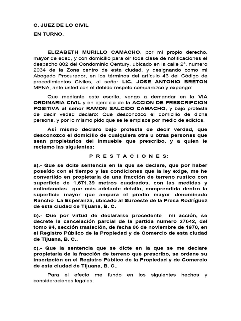 Demanda Elizabeth Murillo | PDF | Justicia | Crimen y violencia