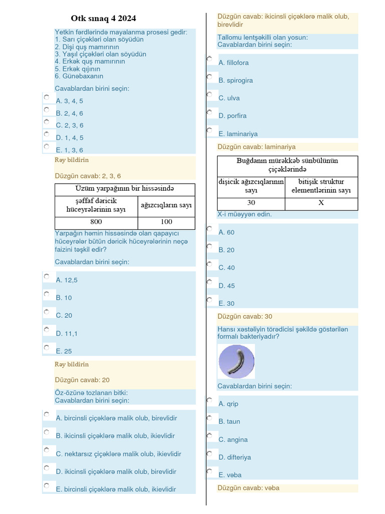 Otk Sınaq 4 2024 | PDF