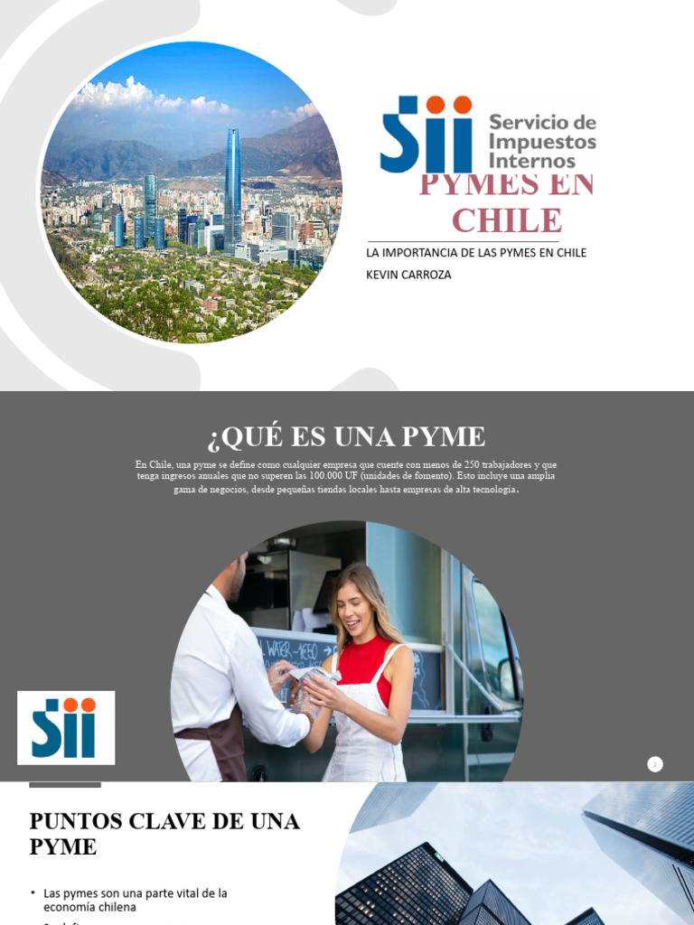 Pymes en Chile | Descargar gratis PDF | Pequeñas y medianas empresas ...